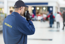 Services - GDS Global Defence Security LTD